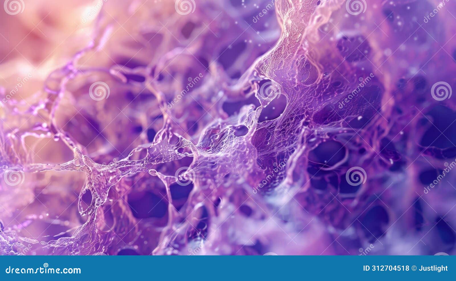 In the Third Image a Piece of Connective Tissue is Seen Featuring a ...