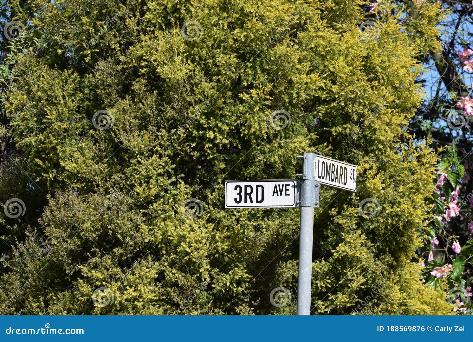 3rd Ave Street Name Sign stock photo. Image of information - 188569876