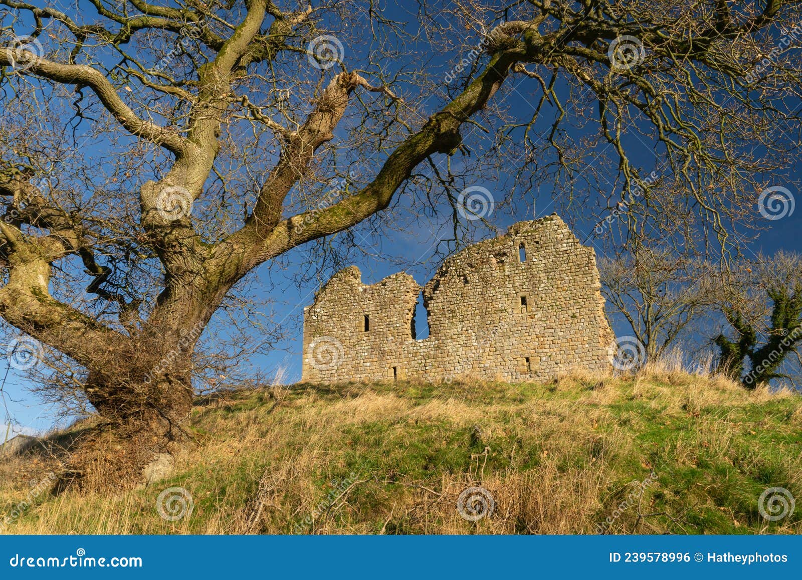 Thirlwall Castle, Northumberland, UK Stock Photo - Image of ruin ...