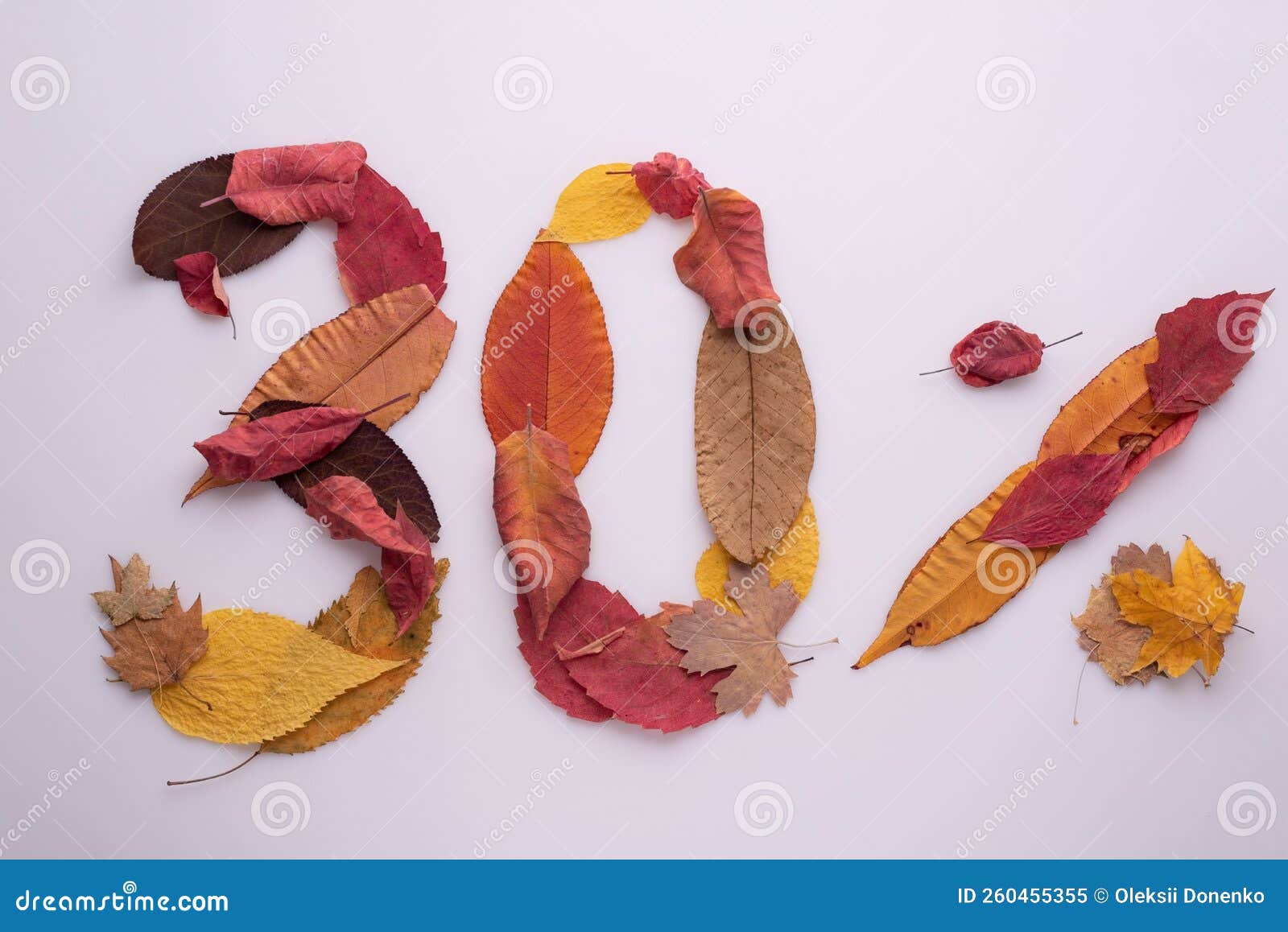 Thirty Percent of Autumn Leaves on a White Background Stock Image ... Thirty Percent of Autumn Leaves on a White Background Stock Image ...