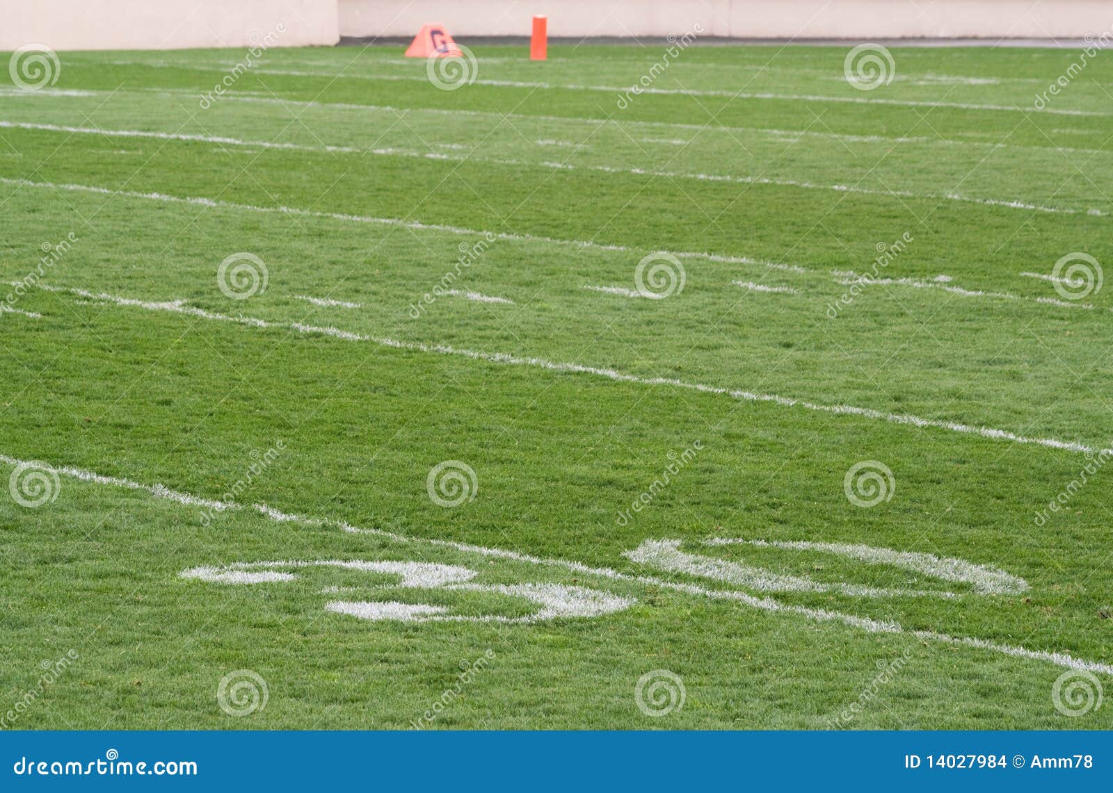Thirty Yard Line Picture. Image: 14027984