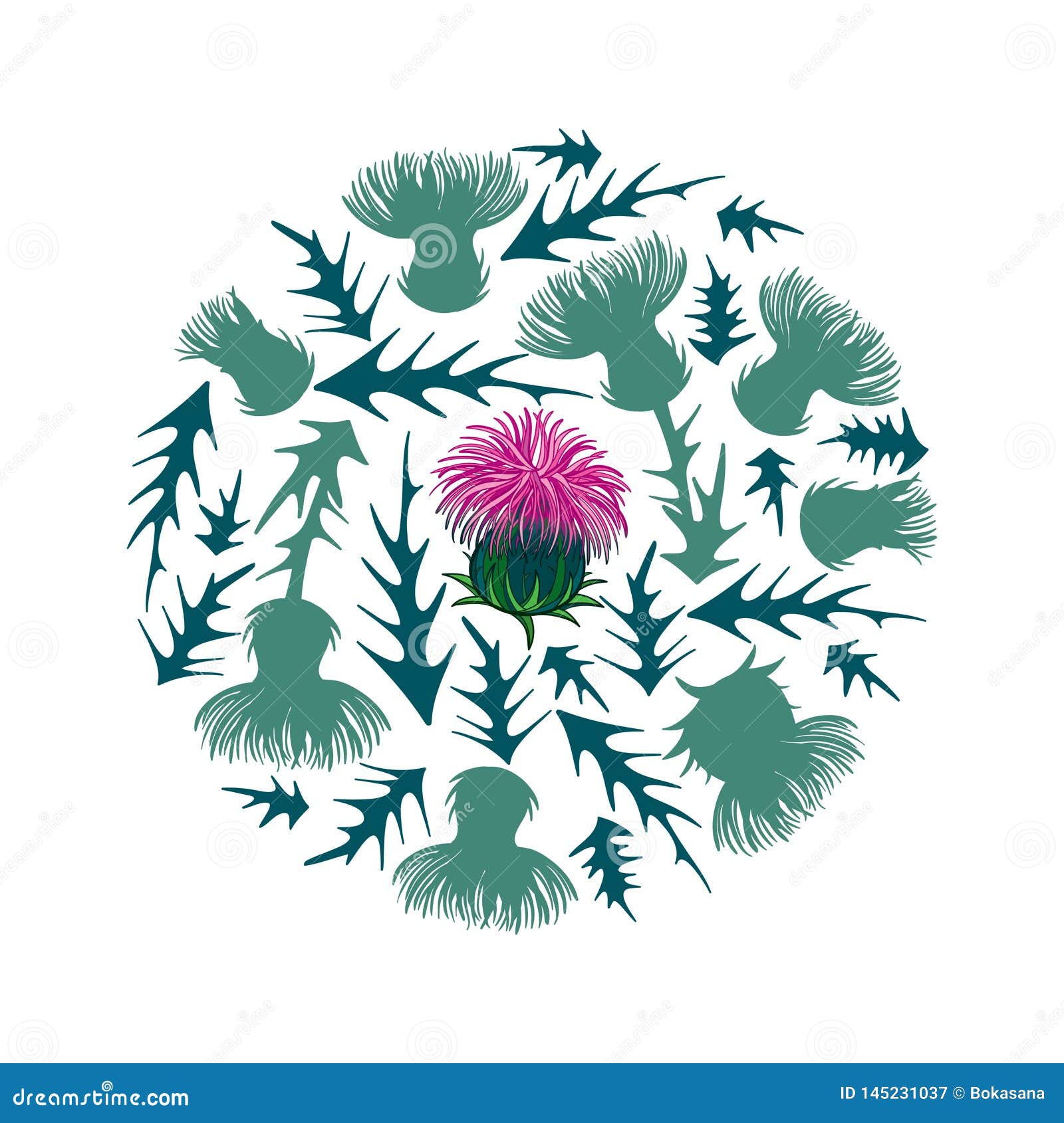Silhouette Of Thistle With Leaf Pattern. Symbol Of Scotland Design ...