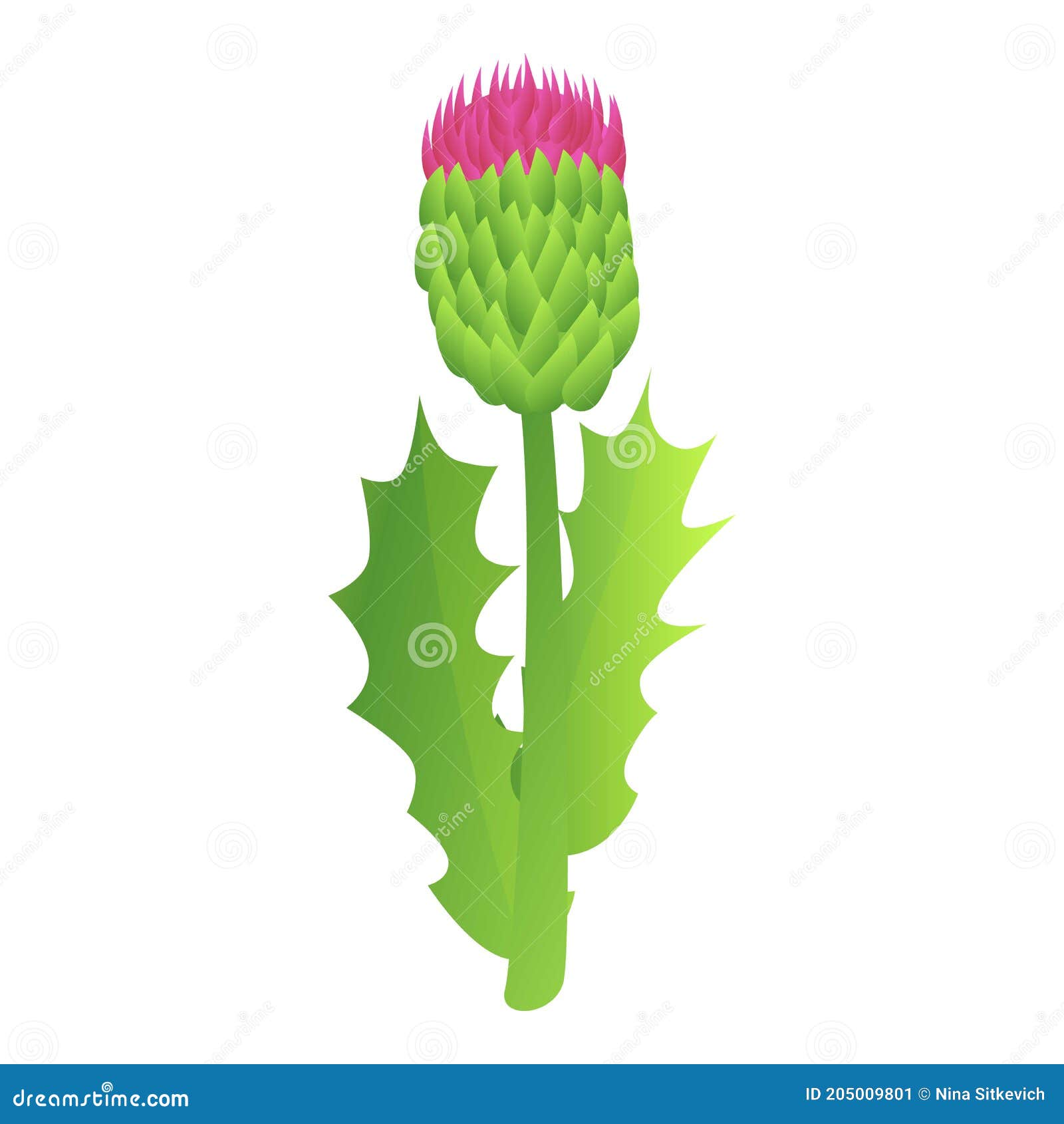 Thistle Bio Plant Icon, Cartoon Style Stock Vector - Illustration of ...