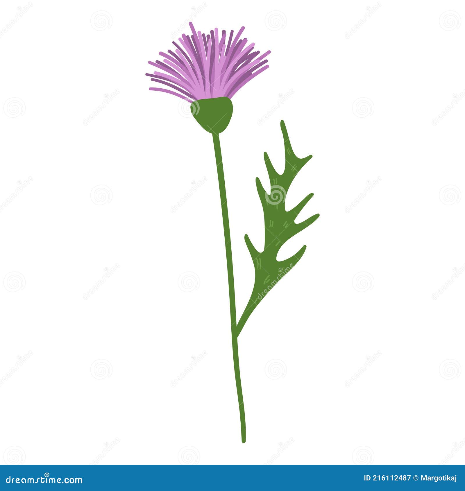Thistle Vector Illustration in Flat Cartoon Style Stock Vector ...