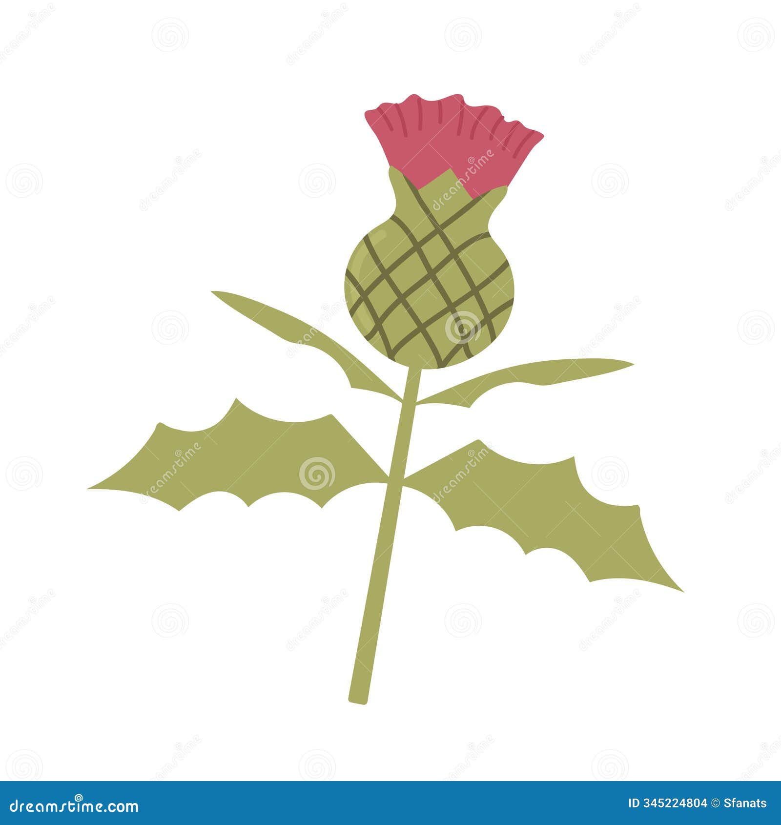 Thistle Icon. Cirsium Thistle Sign. Flower Milk Symbol. Scotland Plant ...