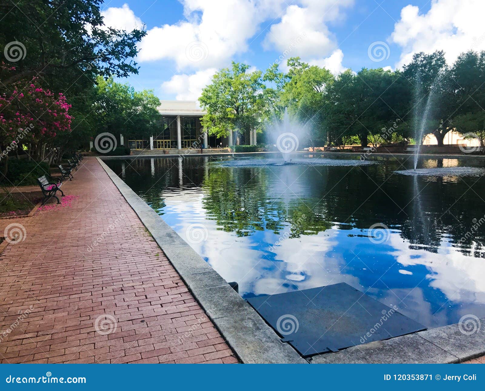 Thomas Cooper Library editorial photo. Image of cooper - 120353871