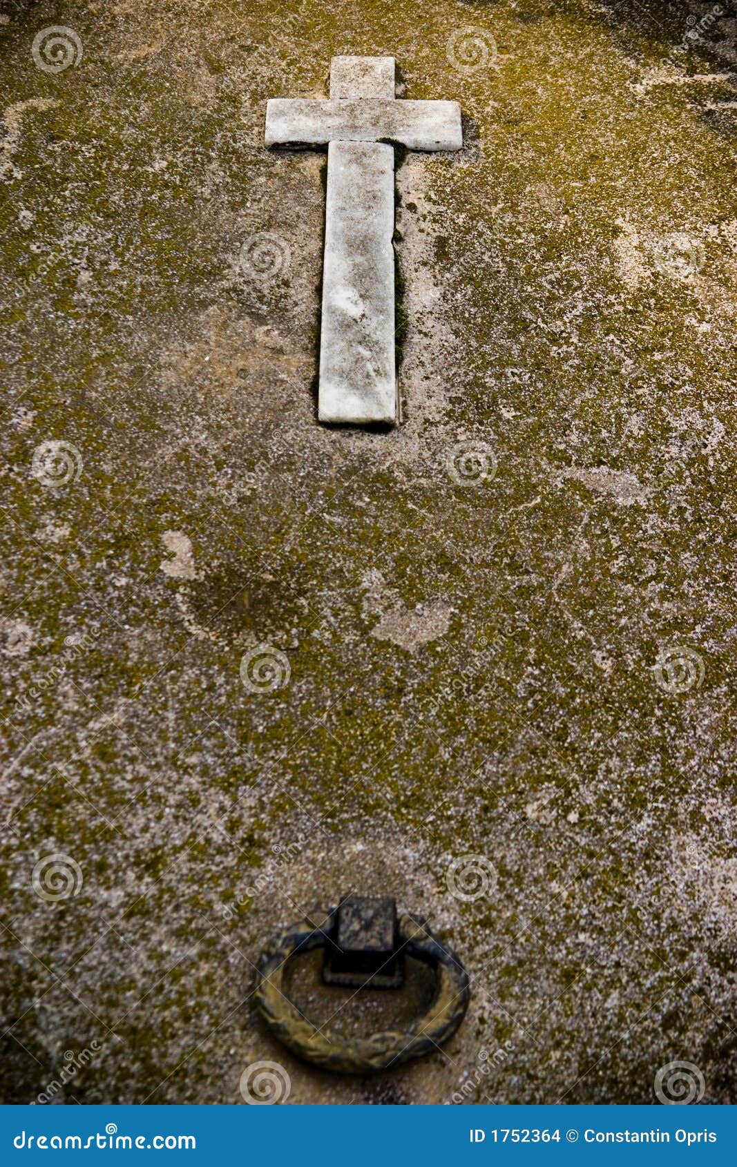 Thomb stone stock photo. Image of covering, concrete, site - 1752364