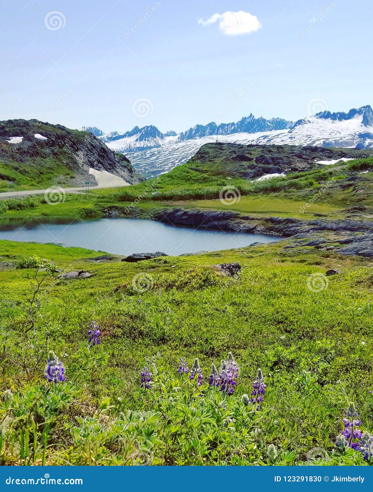 Thompson Pass foto de archivo. Imagen de flores, valdez - 123291830
