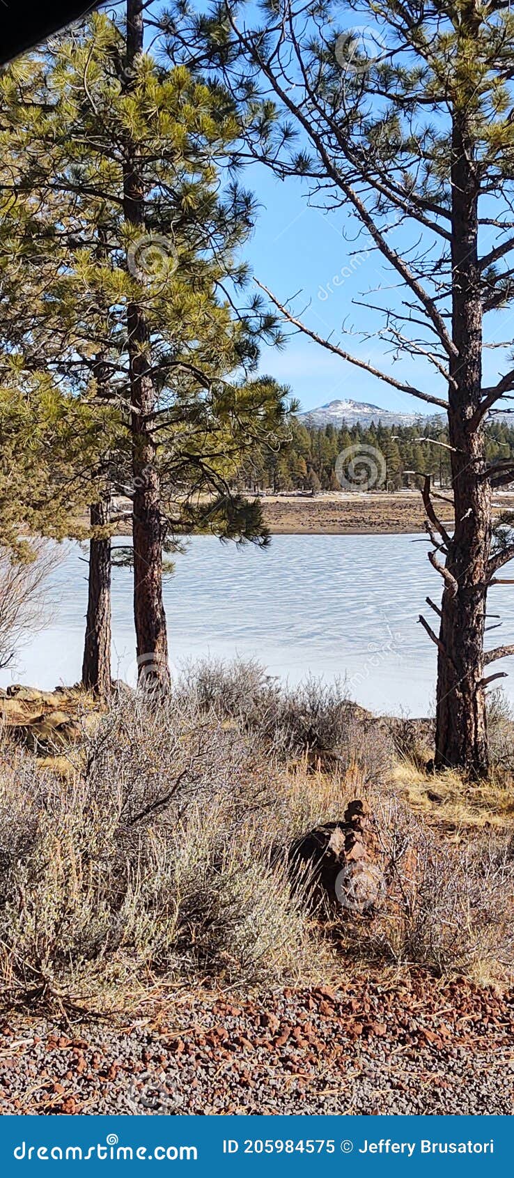Thompson Peak through the Trees Stock Image - Image of lake, water ...