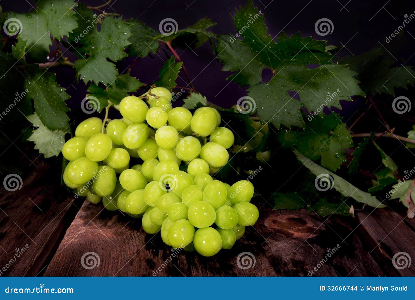 Thompson Seedless Grapes stock photo. Image of cluster - 32666744