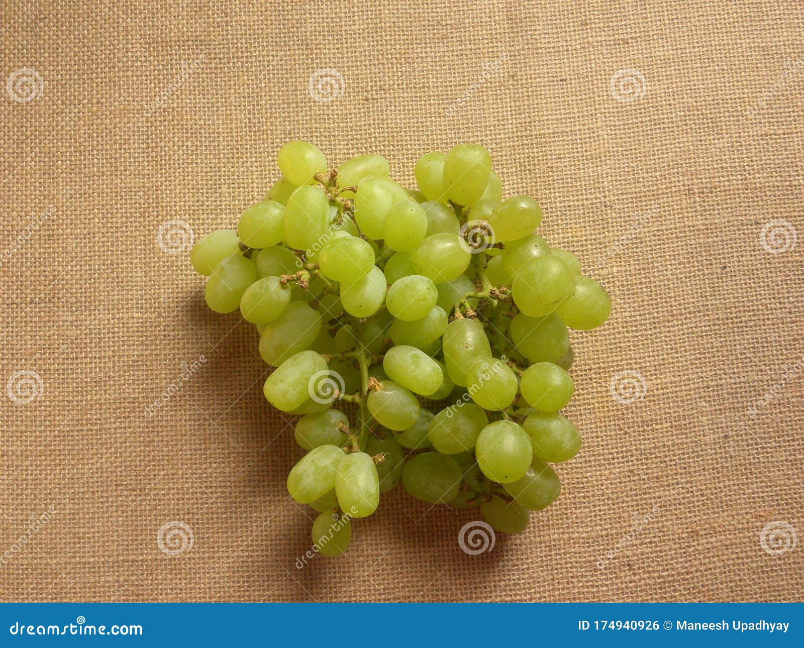 Thompson Seedless Grapes Stock Photography | CartoonDealer.com #32666744 Thompson Seedless Grapes Stock Photography | CartoonDealer.com #32666744