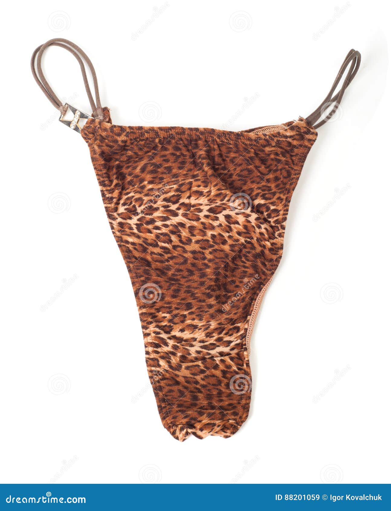 Thong Leopard Texture Panties Stock Image - Image of exotic, romantic ...