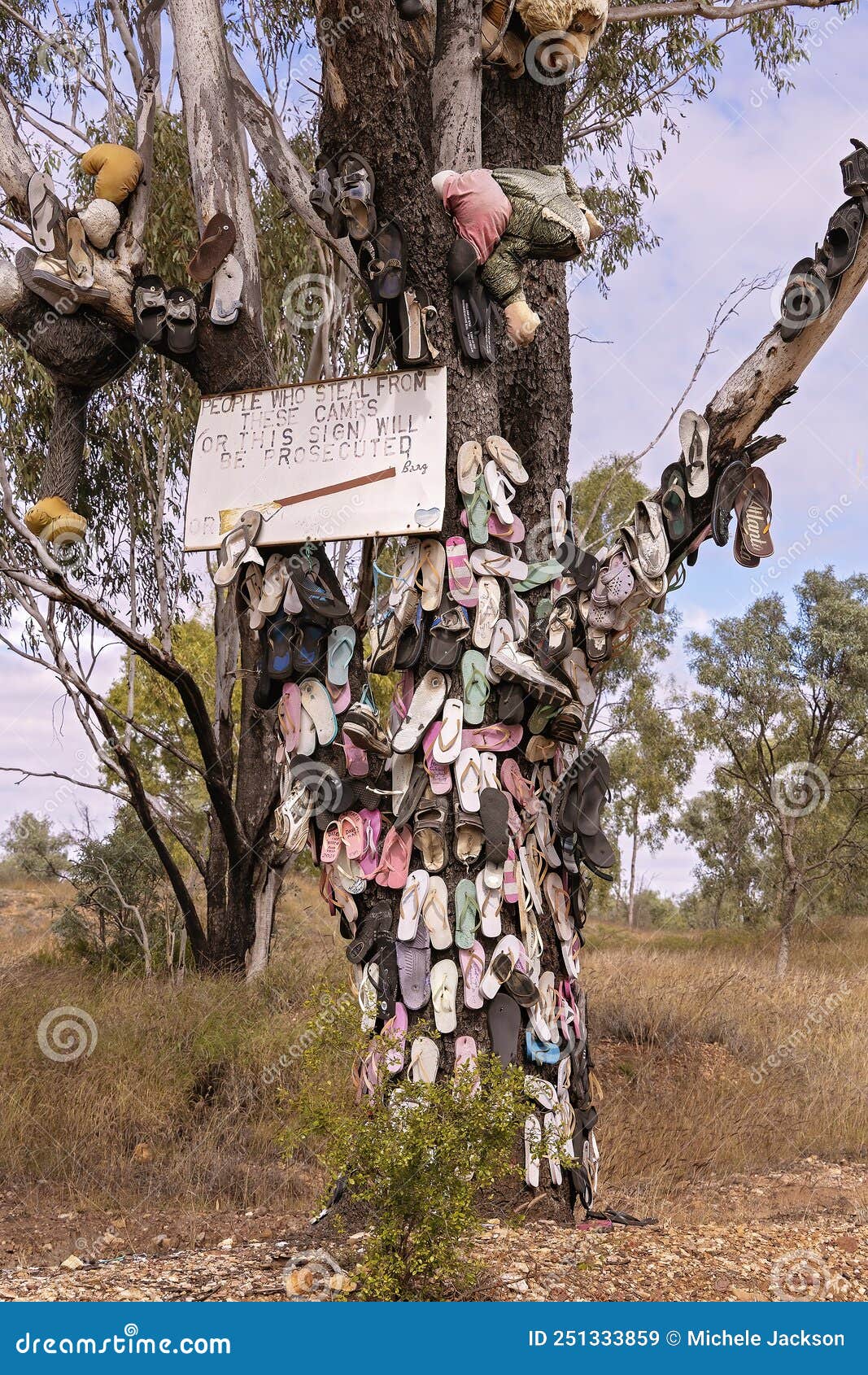 The Thong Tree Rubyvale Gemfields Australia Editorial Stock Image ...