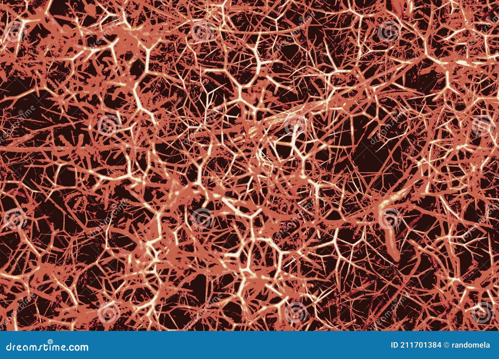 Colored Thorn Abstract Background Stock Photo - Image of succulent ...