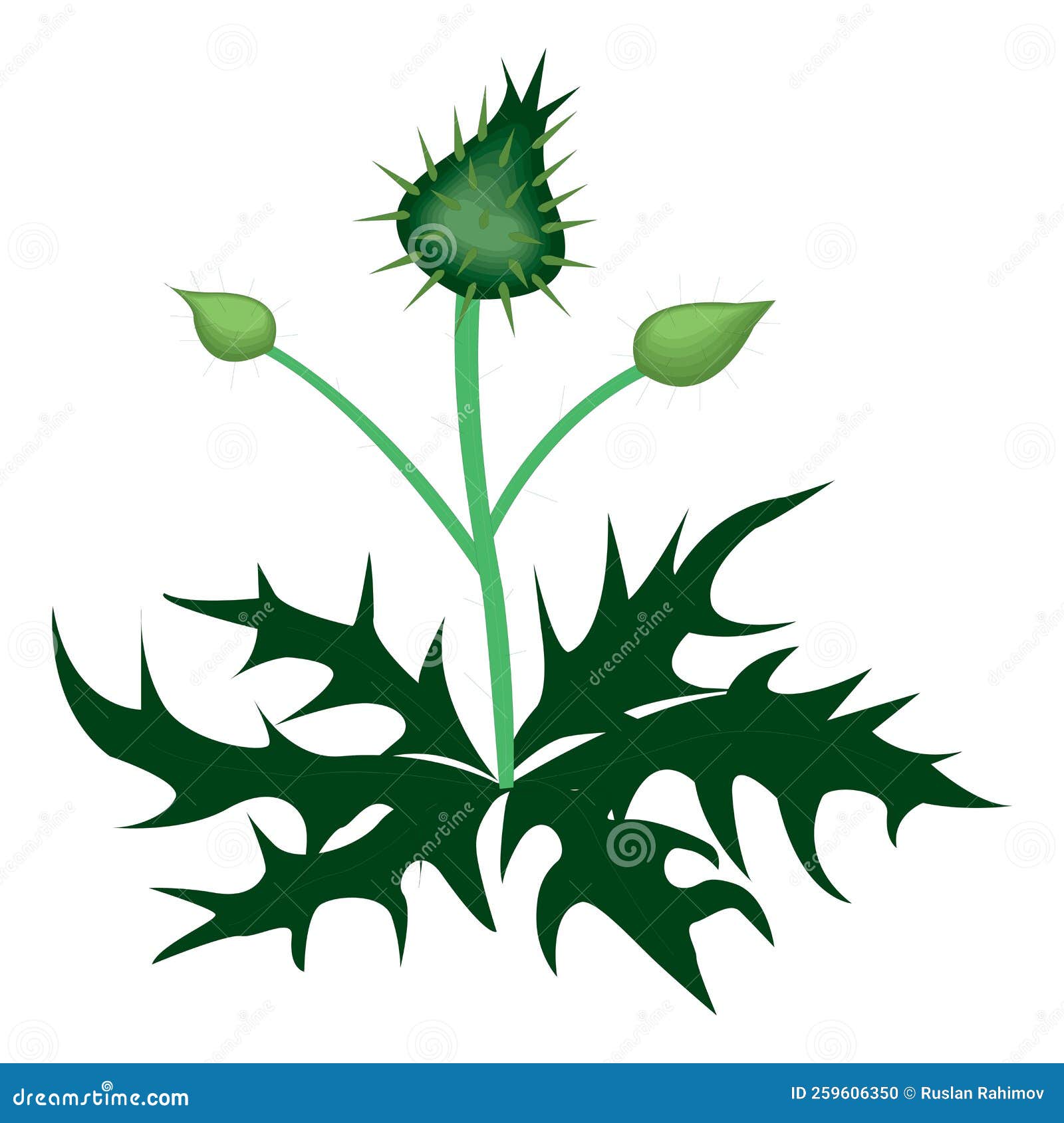 Thorn Illustration Isolated on a White Background in EPS10 Stock Vector ...