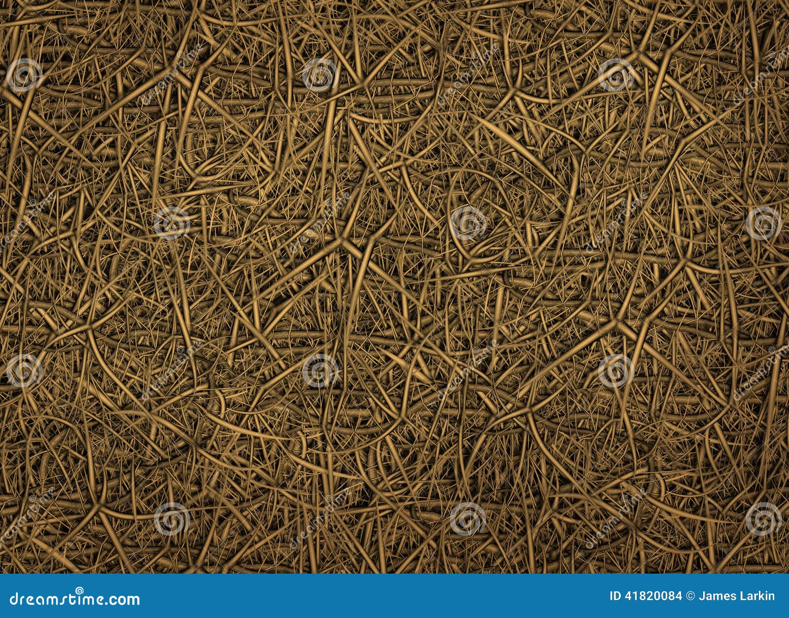 Thorns Background stock photo. Image of background, plant - 41820084