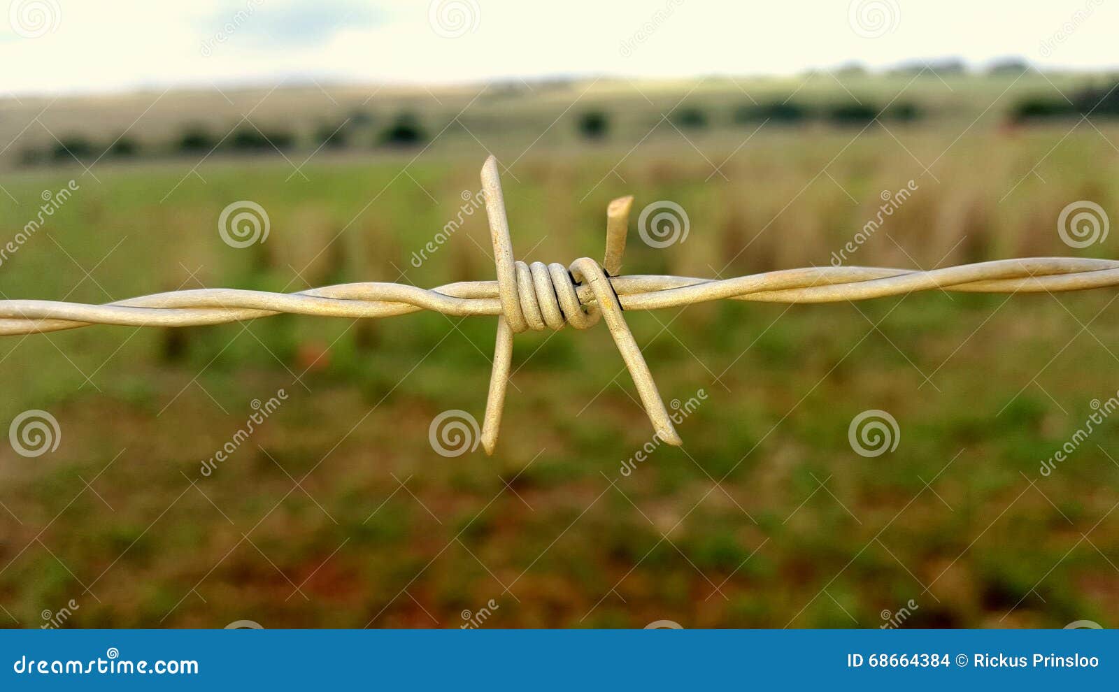 Thorny fence stock photo. Image of wire, fence, barbed - 68664384