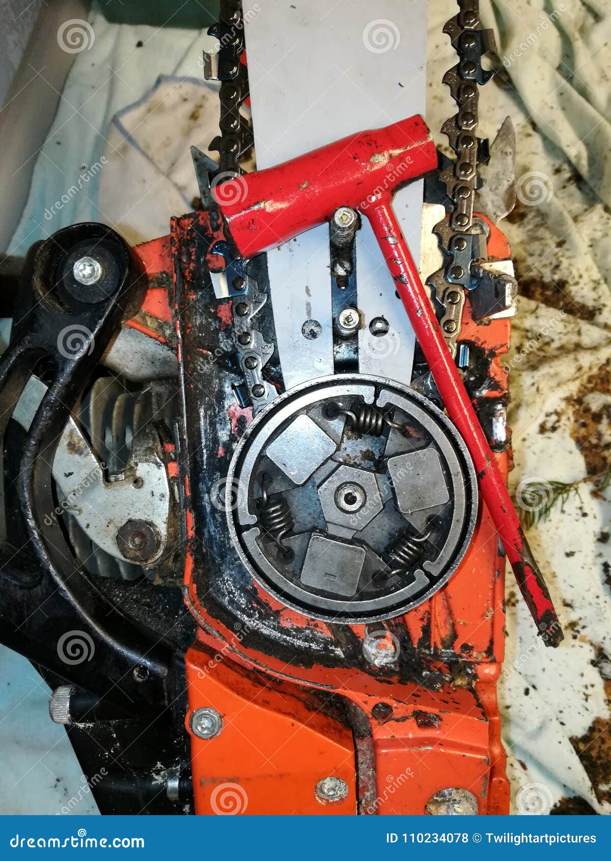 Thorough Cleaning of the Chainsaw Stock Photo - Image of claw, catcher ...