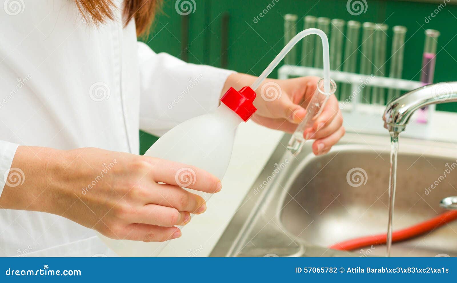 Thorough Washing stock photo. Image of laboratory, technician - 57065782