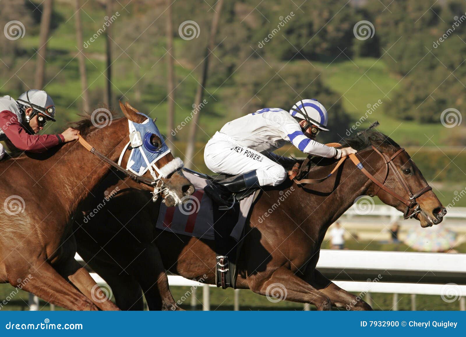 Thoroughbred Horse Race editorial image. Image of equestrian - 7932900