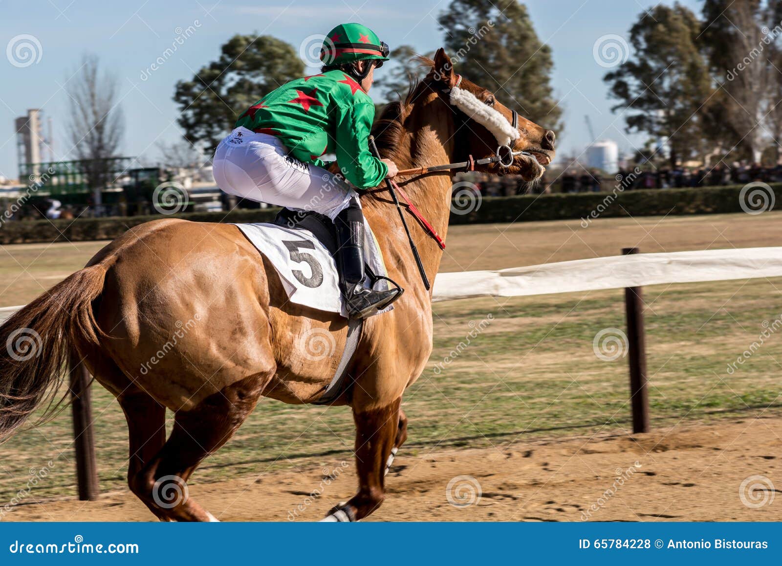 Thoroughbred horse riding editorial stock photo. Image of effort - 65784228