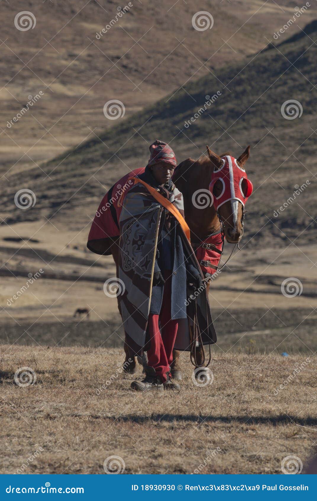 Basotho Racing Pony Editorial Photo | CartoonDealer.com #18930849