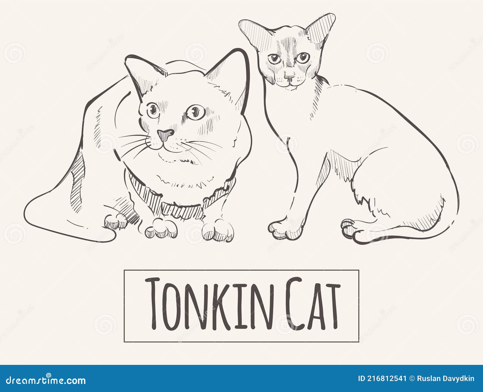 Tonkin Stock Illustrations – 30 Tonkin Stock Illustrations, Vectors ...