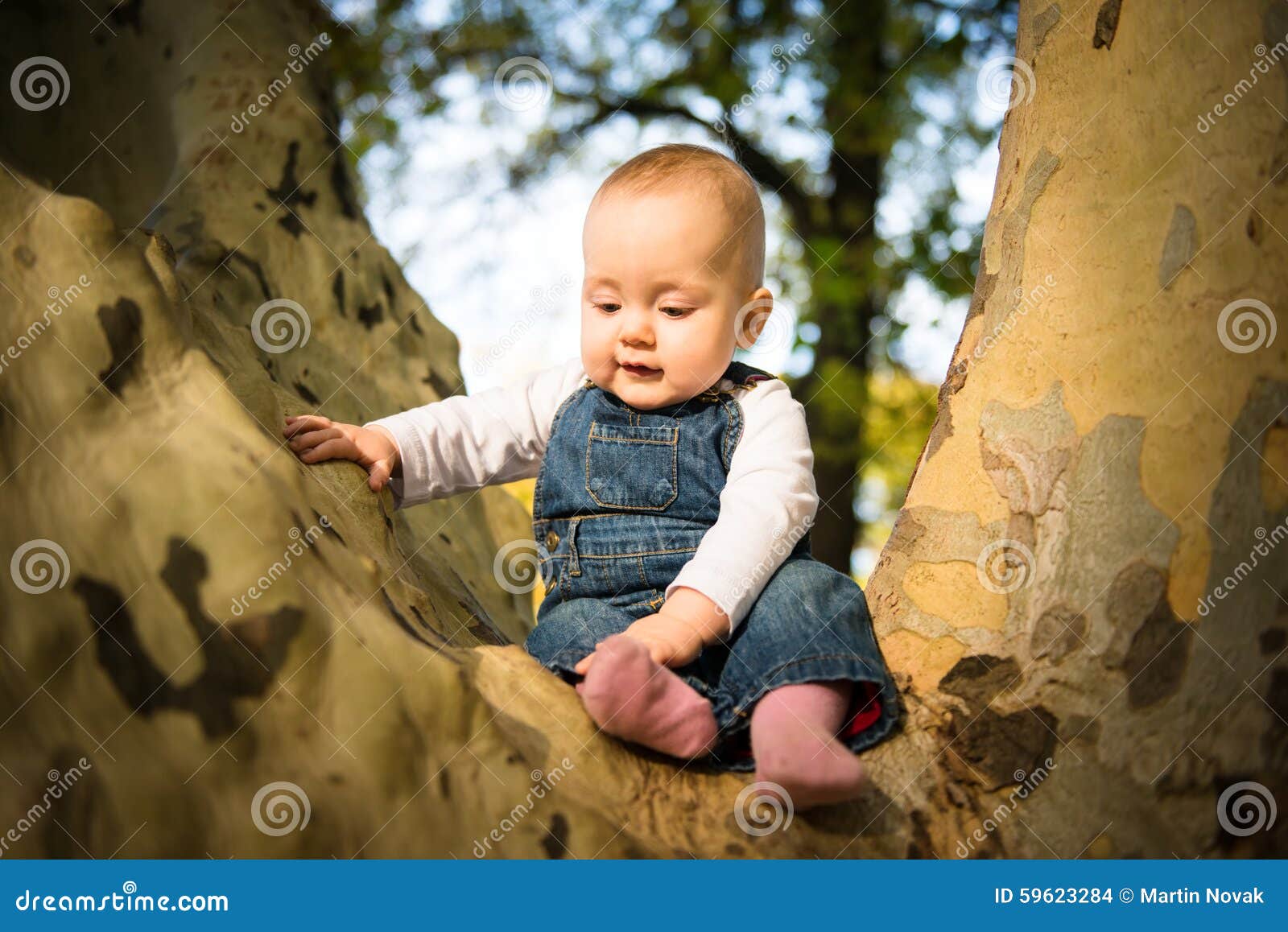 Thoughful baby on tree stock photo. Image of tthoughtful - 59623284