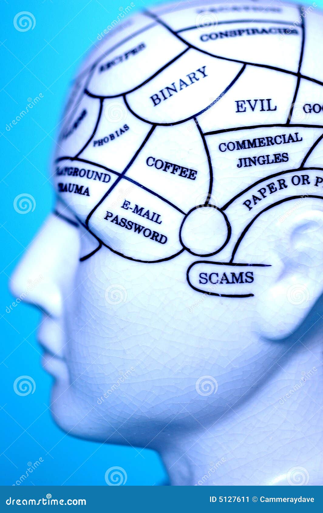 Thought Brain Head Memory stock image. Image of coffee - 5127611