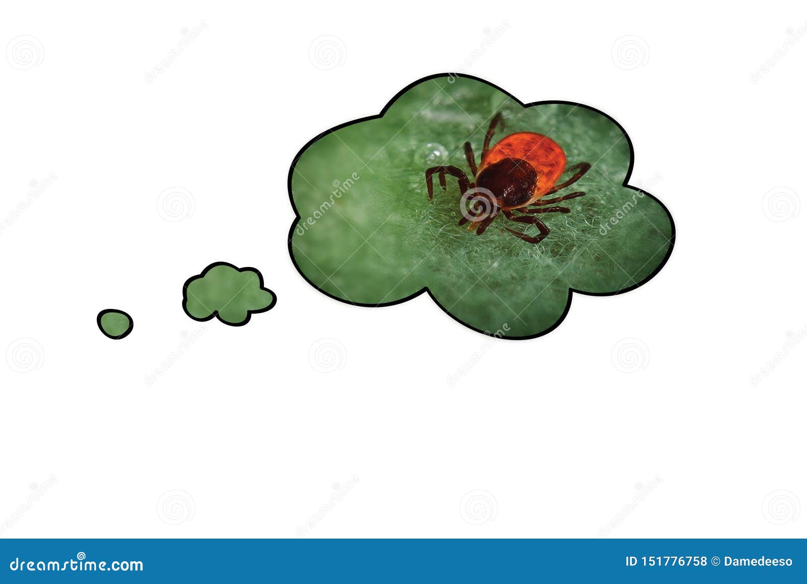 Thought bubbles of ticks stock photo. Image of clouds - 151776758