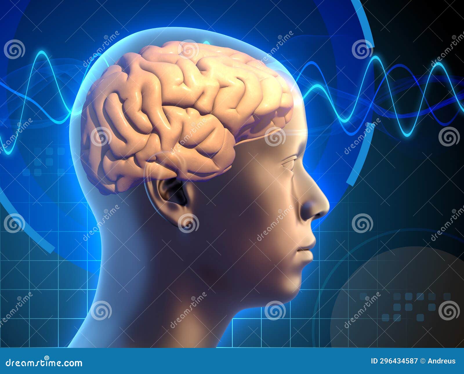 Thought Process in Human Brain Stock Illustration - Illustration of ...