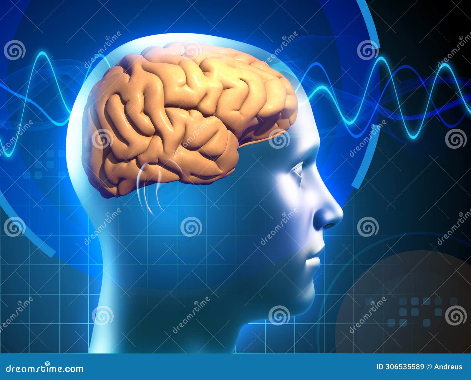 Thought Process in Human Brain Stock Illustration - Illustration of ...