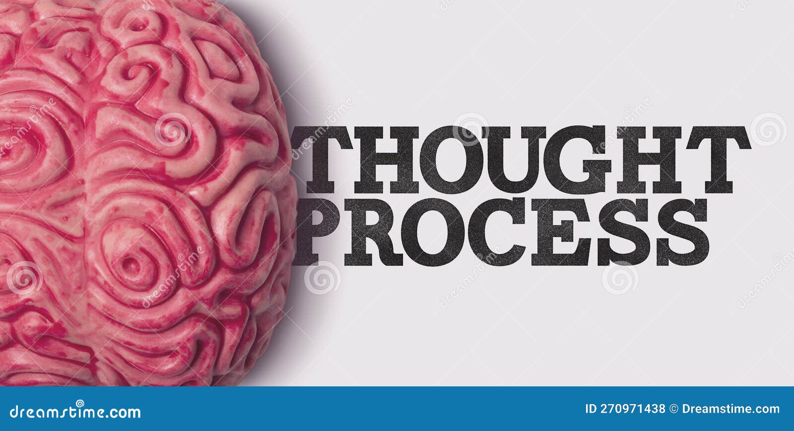 Thought Process Word Next To a Human Brain Model Stock Photo - Image of ...