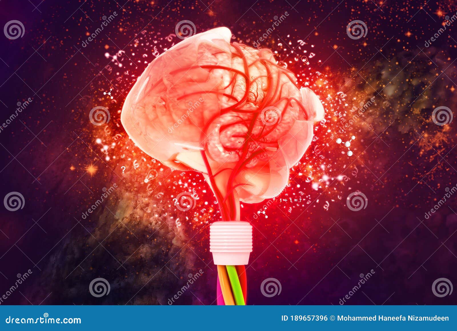 Thought Processes in the Brain Stock Photo - Image of thought ...