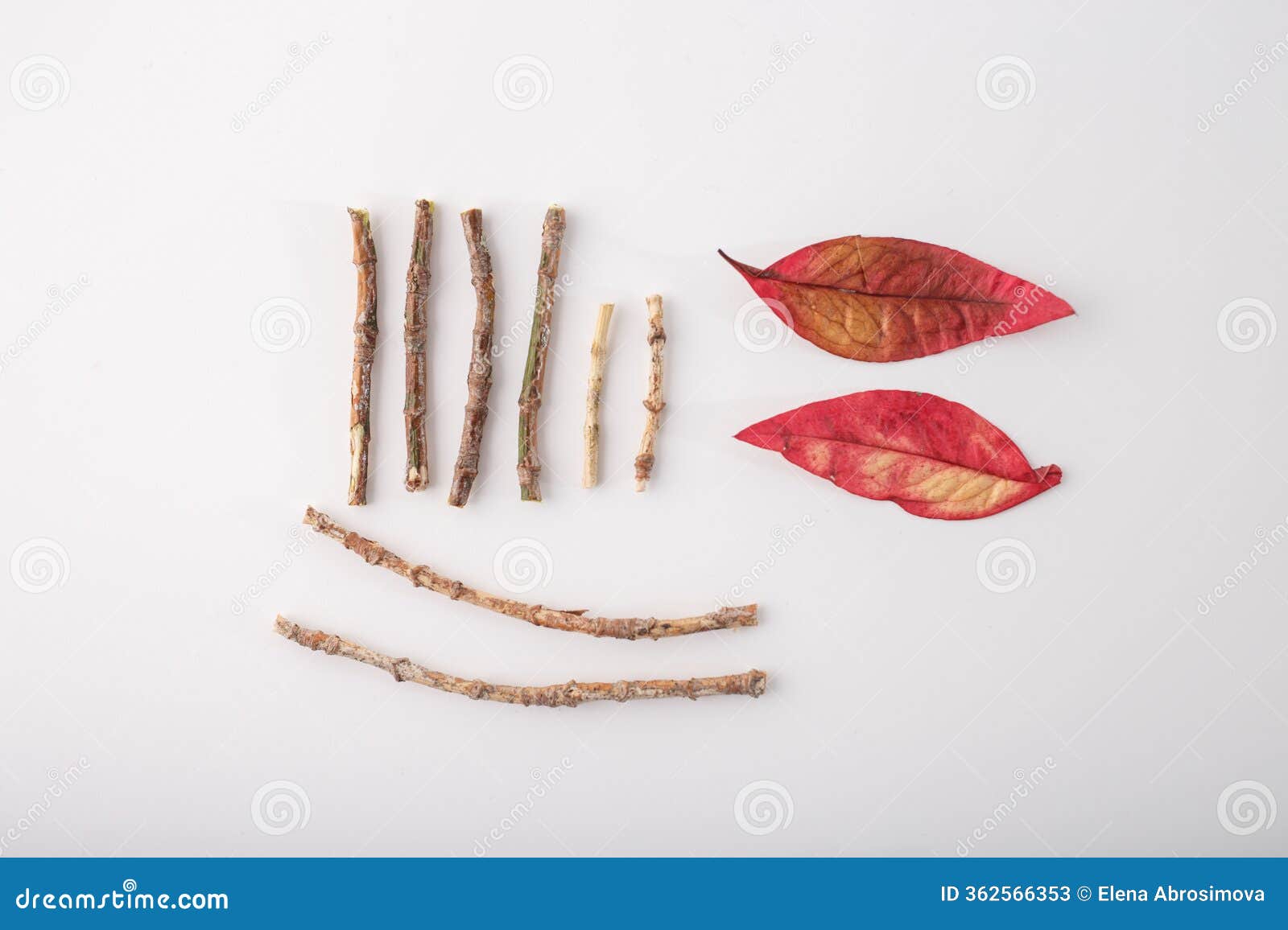 A Thoughtful Arrangement of Natural Objects on White Background. Eight ...