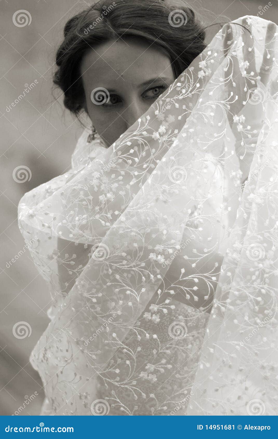 Bride Hidden Under Veil Stock Photography | CartoonDealer.com #24426026