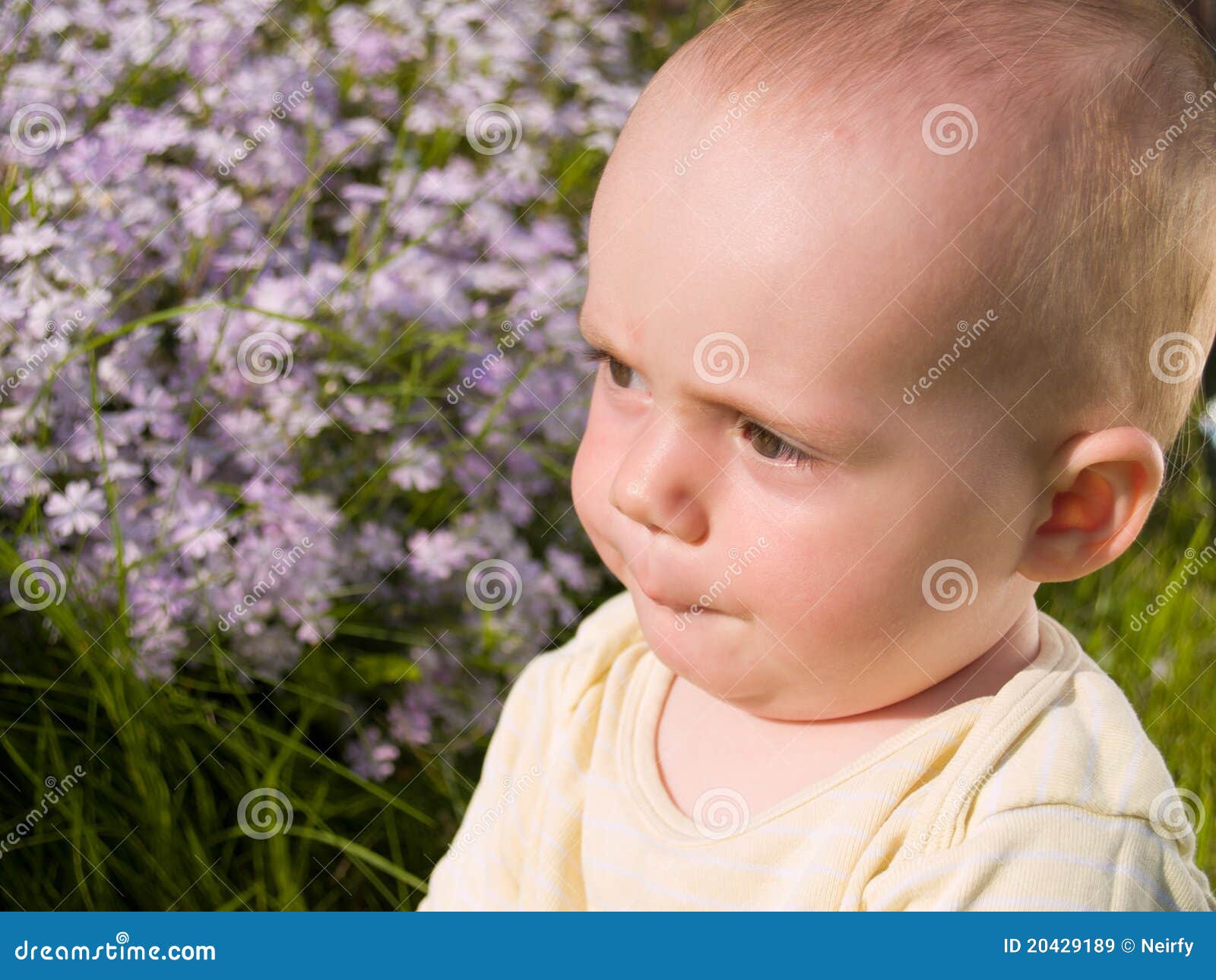 Thoughtful small baby stock image. Image of awake, outdoor - 20429189