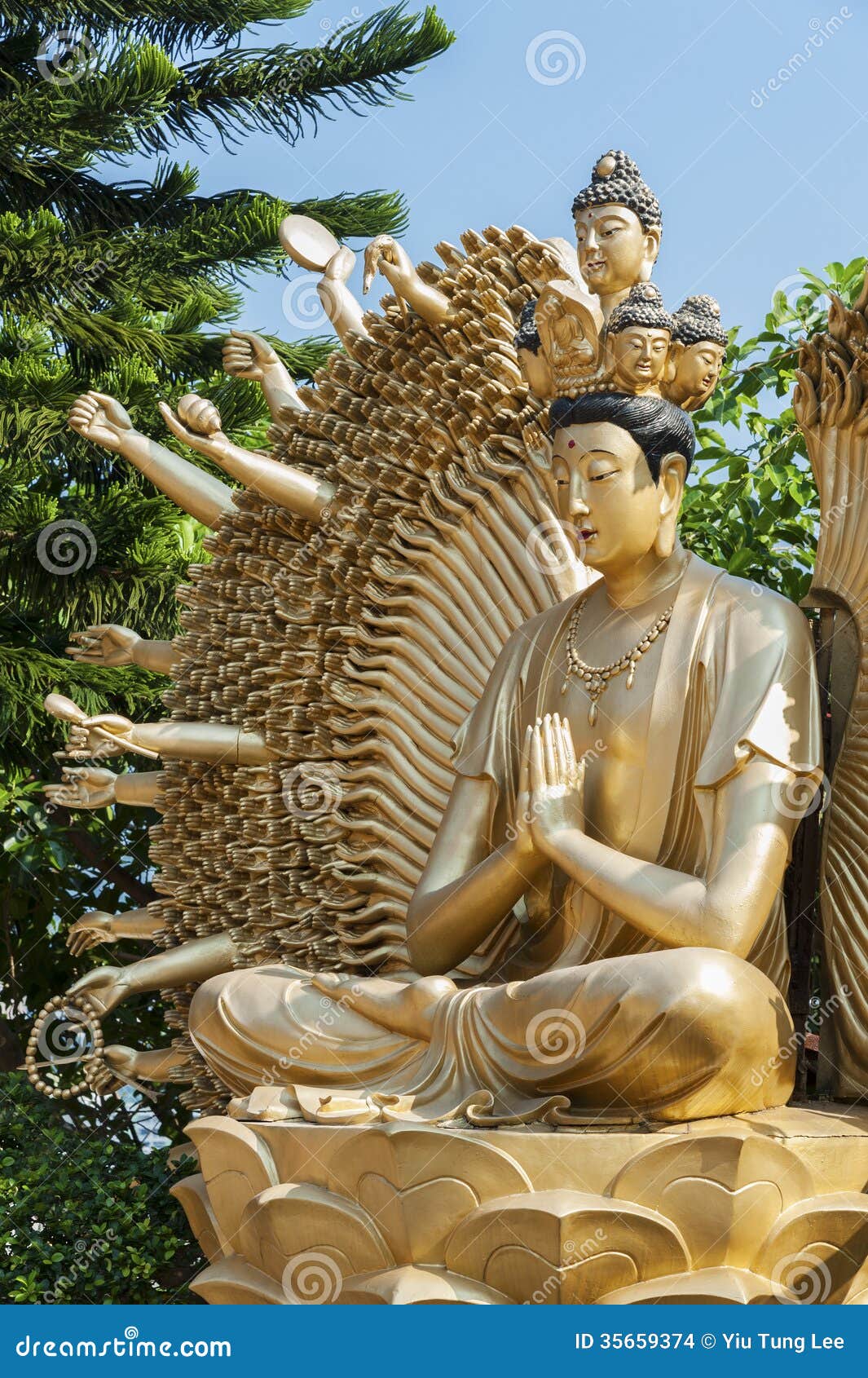 Thousand Hands Buddha Statue Stock Photo - Image of hong, guan: 35659374