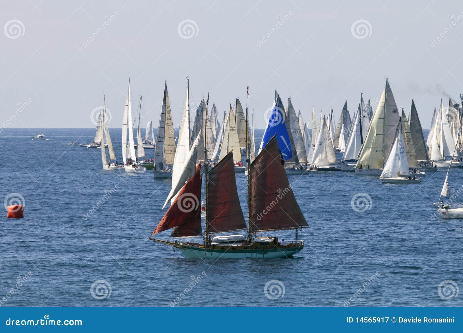 Thousand Sails 2010 editorial photography. Image of navigation - 14565917