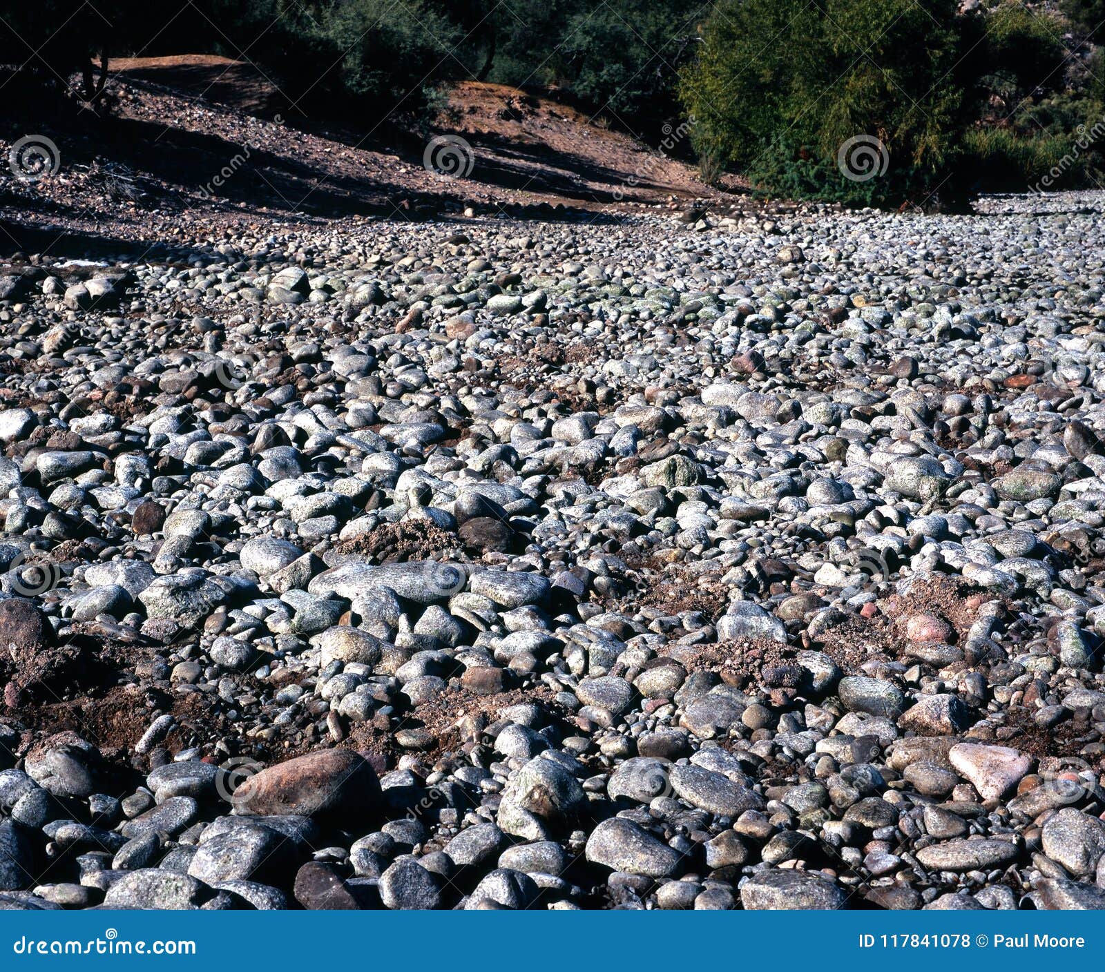 Stone River Bank stock photo. Image of gray, green, park - 117841078 Stone River Bank stock photo. Image of gray, green, park - 117841078