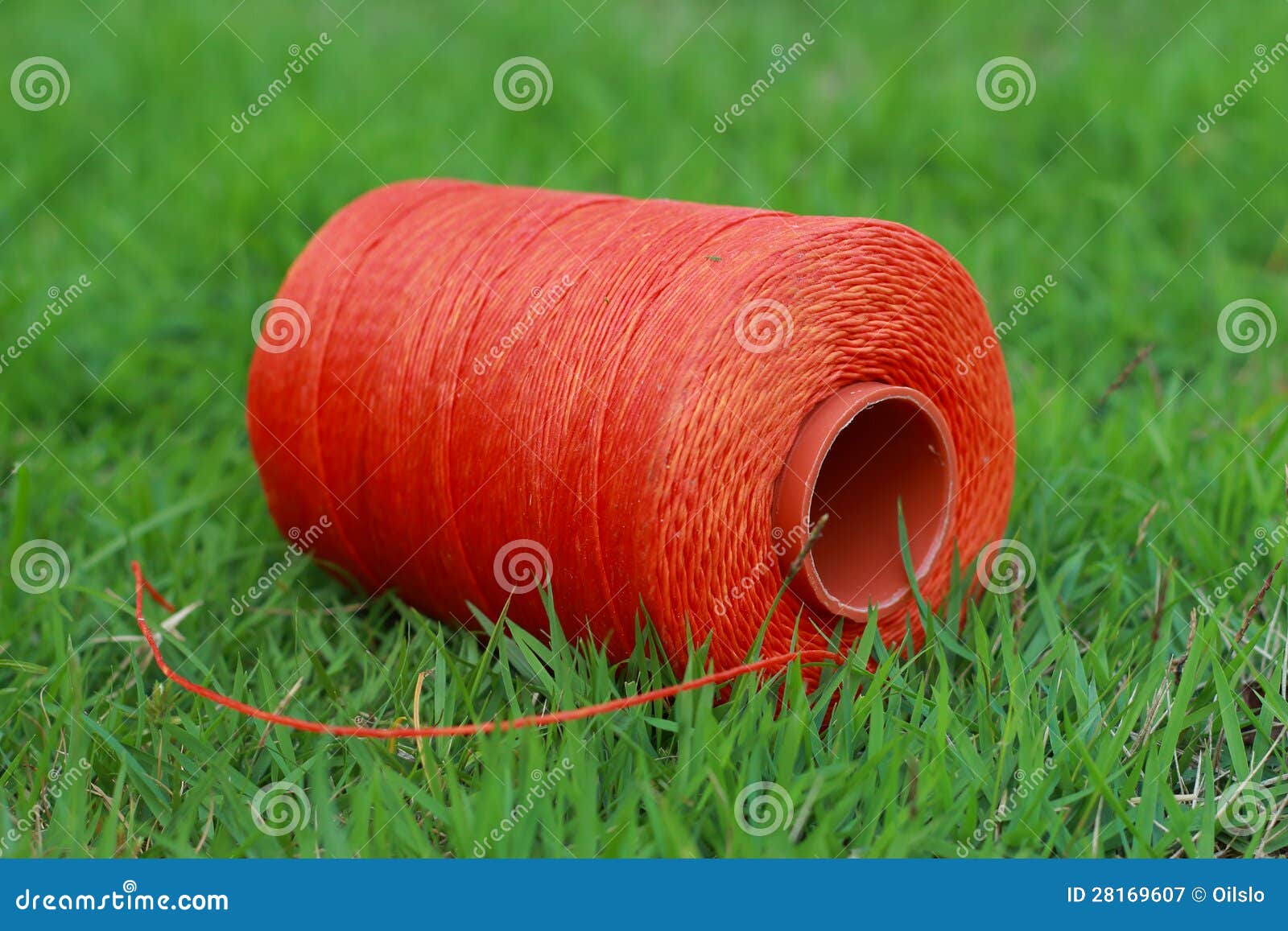 Thread stock image. Image of grass, bobbin, closeup, bright - 28169607