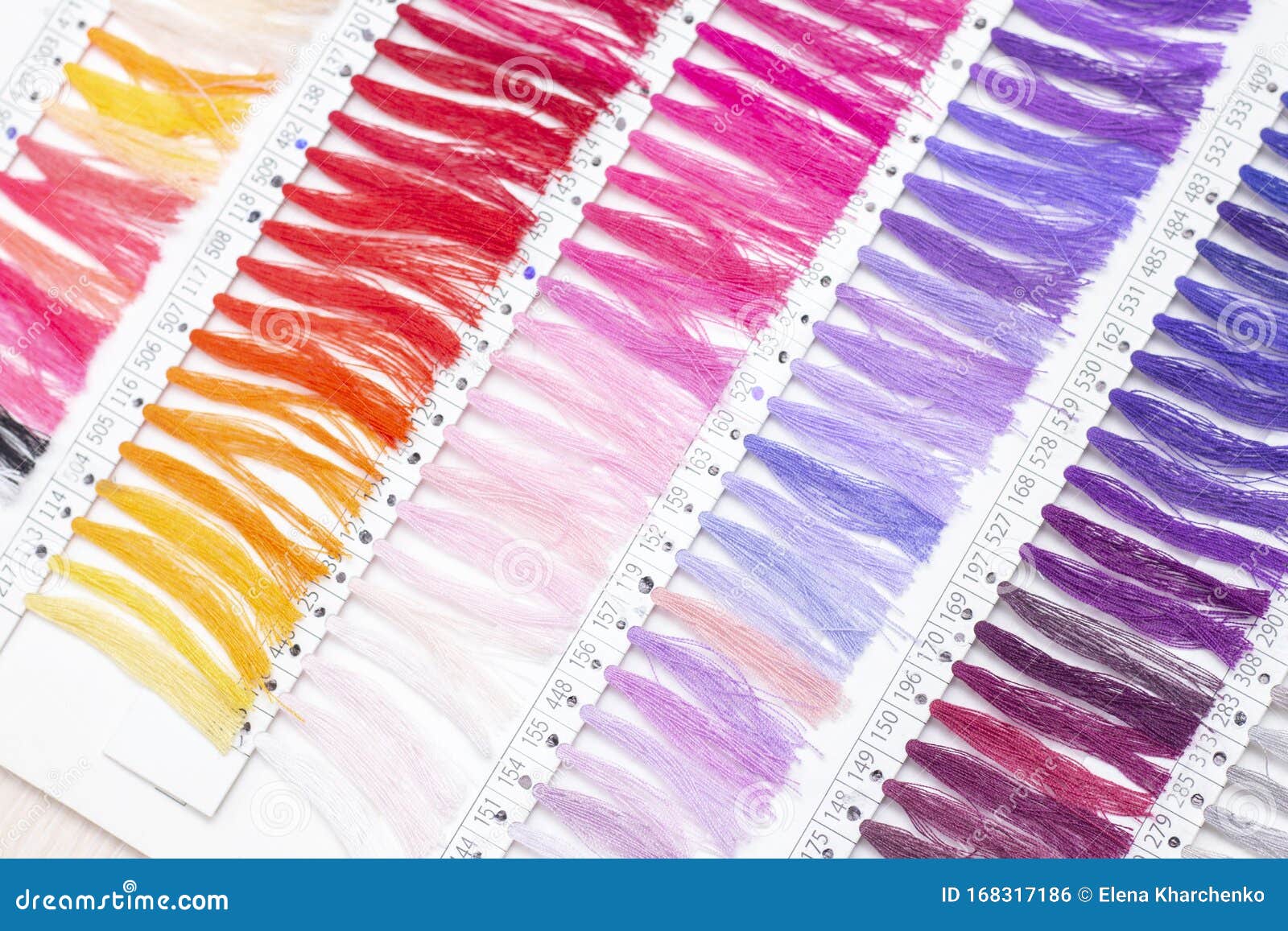 Thread Directory. Open Catalog with Multi-colored Threads, Bed Colors ...