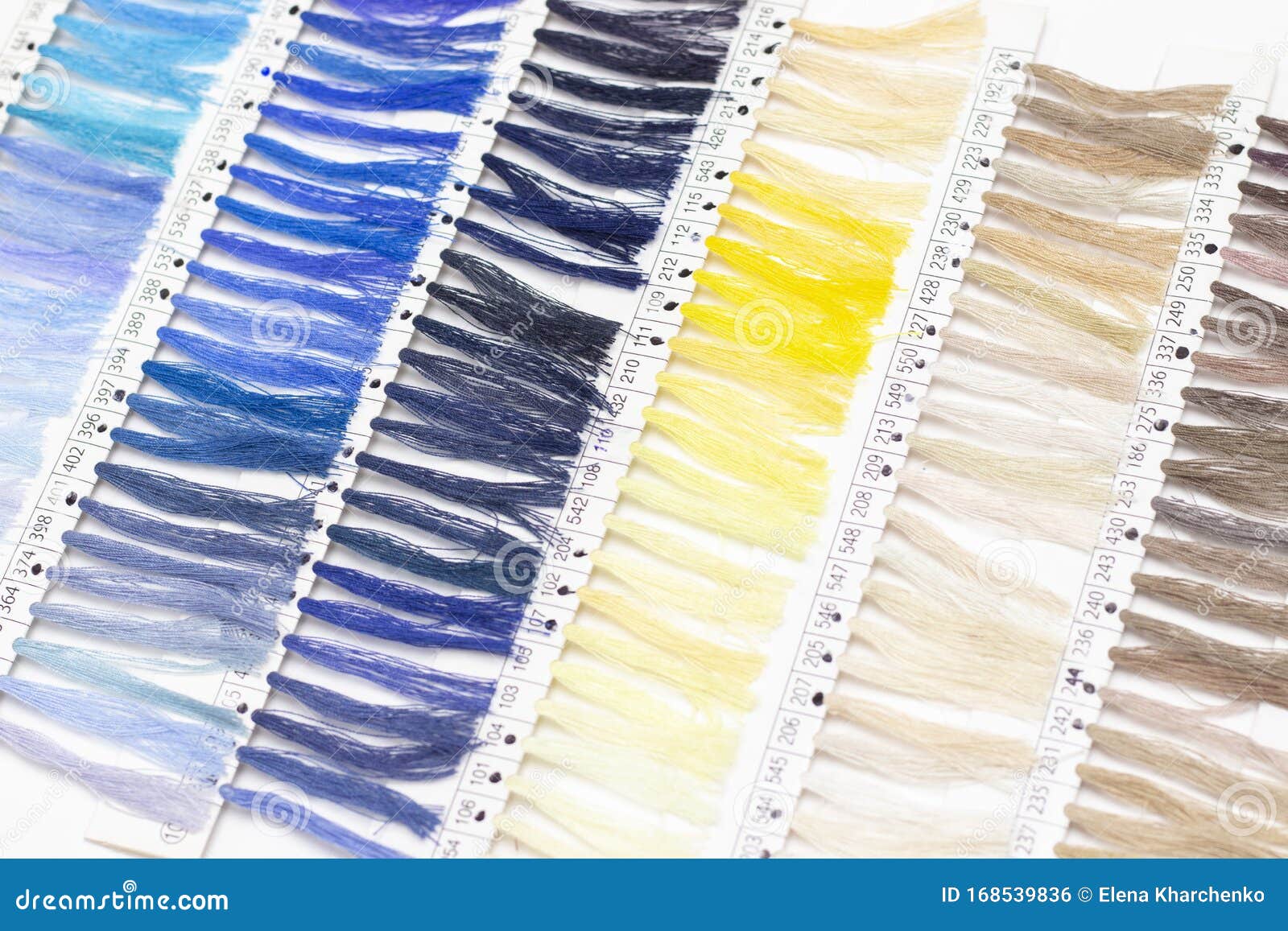 Thread Directory. Open Catalog with Multi-colored Threads, Bed Colors ...