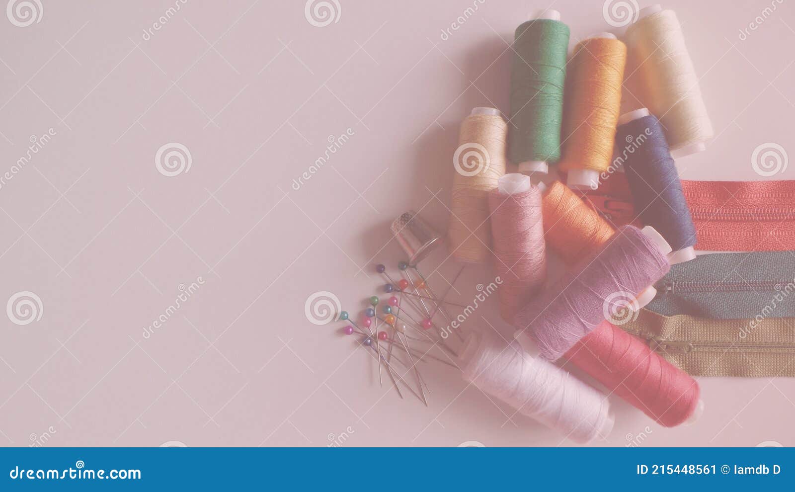 Thread and Needle on a White Background Copyspace Stock Image - Image ...