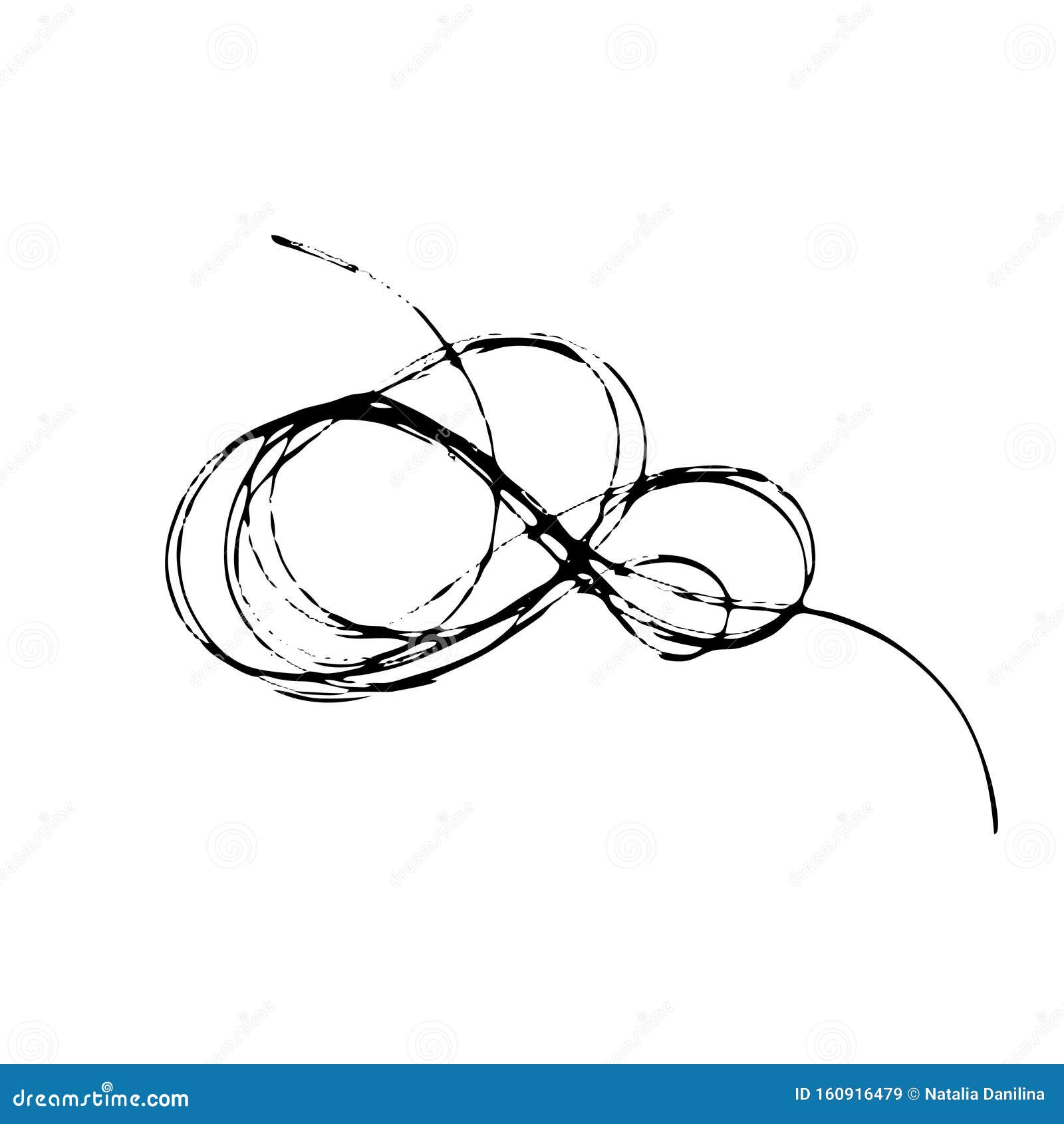 Thread Scribble Nest, Cloud. Tangled Threads. Black Line Abstract ...