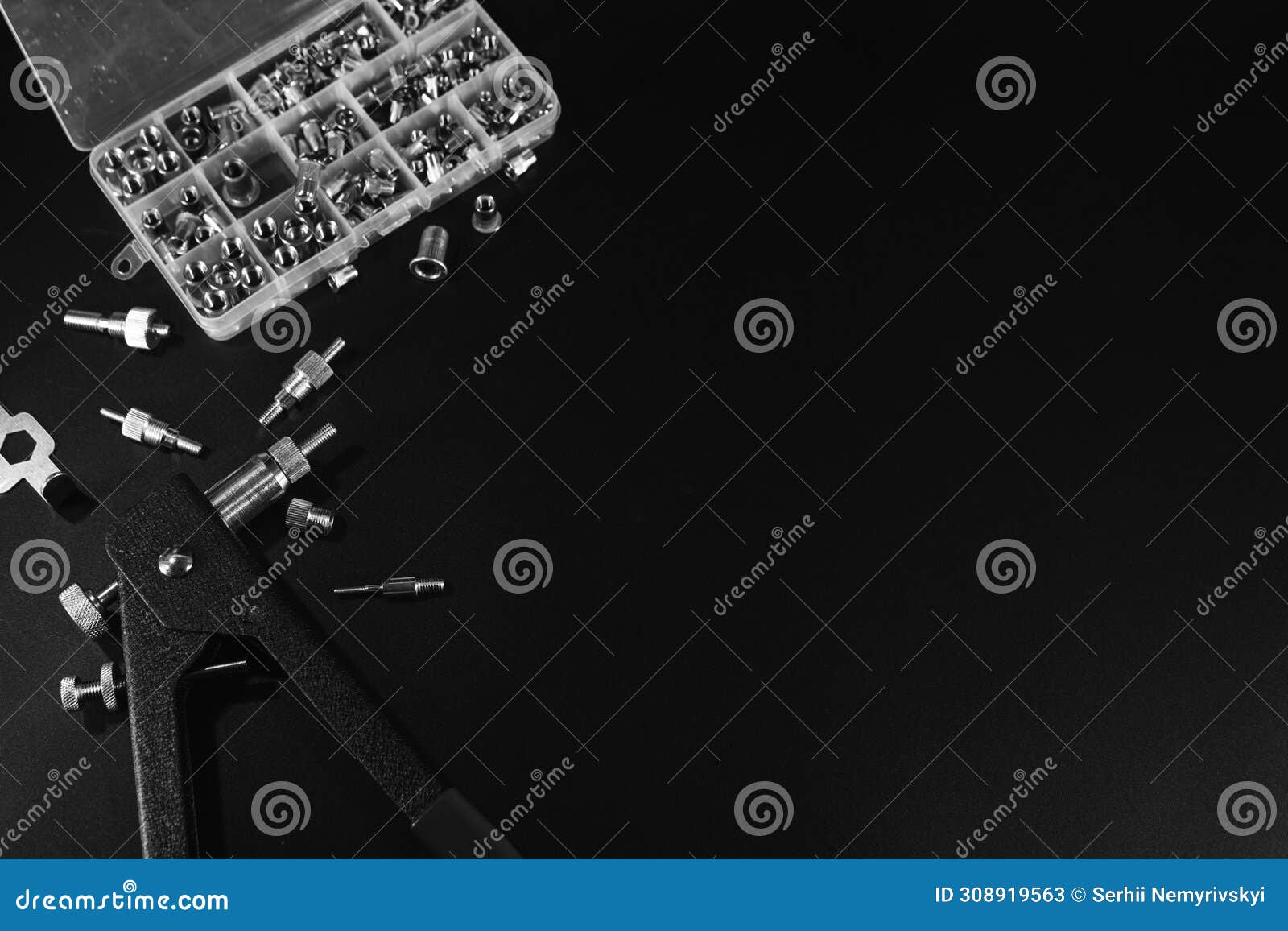 Threaded Insert Riveter Gun Kit. Setting Tool, Nosepieces and Inserts ...