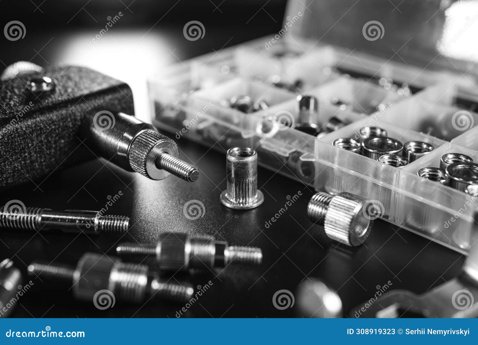 Threaded Insert Riveter Gun Kit. Setting Tool, Nosepieces and Inserts ...