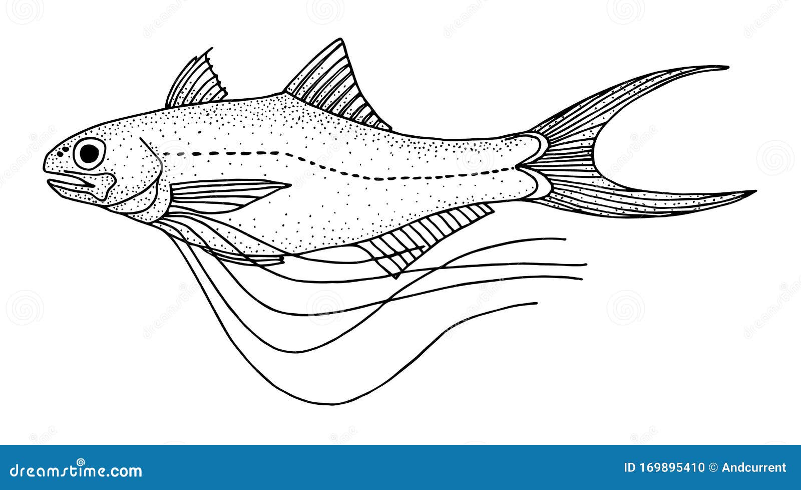 Threadfin. Black Hand Drawn Realistic Outline Vector Image ...