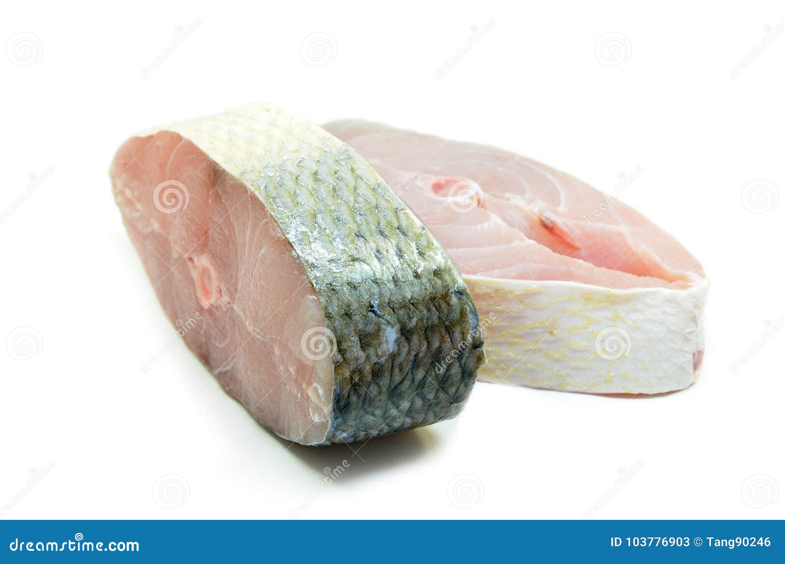 Threadfin Fish Fillet Isolated Stock Image - Image of saltwater ...