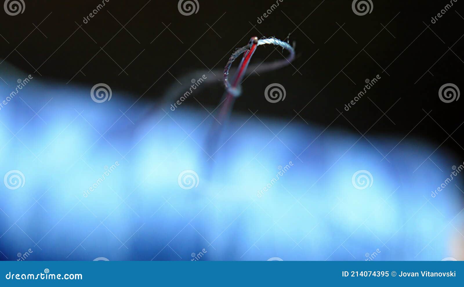 Threading the Eye of a Needle Stock Image - Image of string, cotton ...